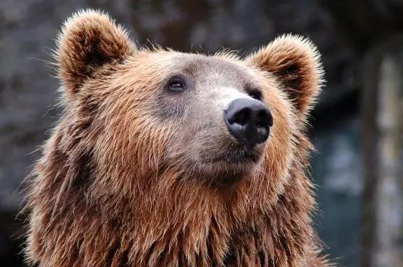 Studiare Russo e Conoscere la Cultura Russa | Superprof