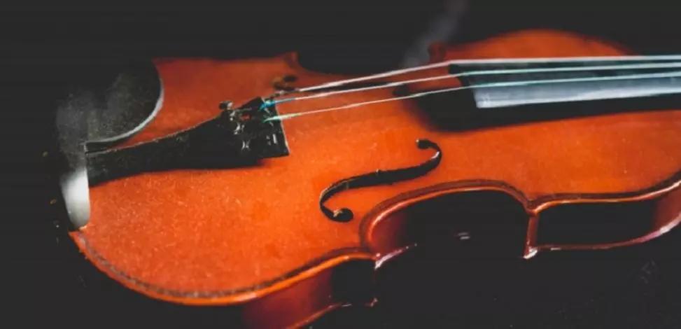 Storia del Violino: Origine ed Evoluzione dello Strumento!