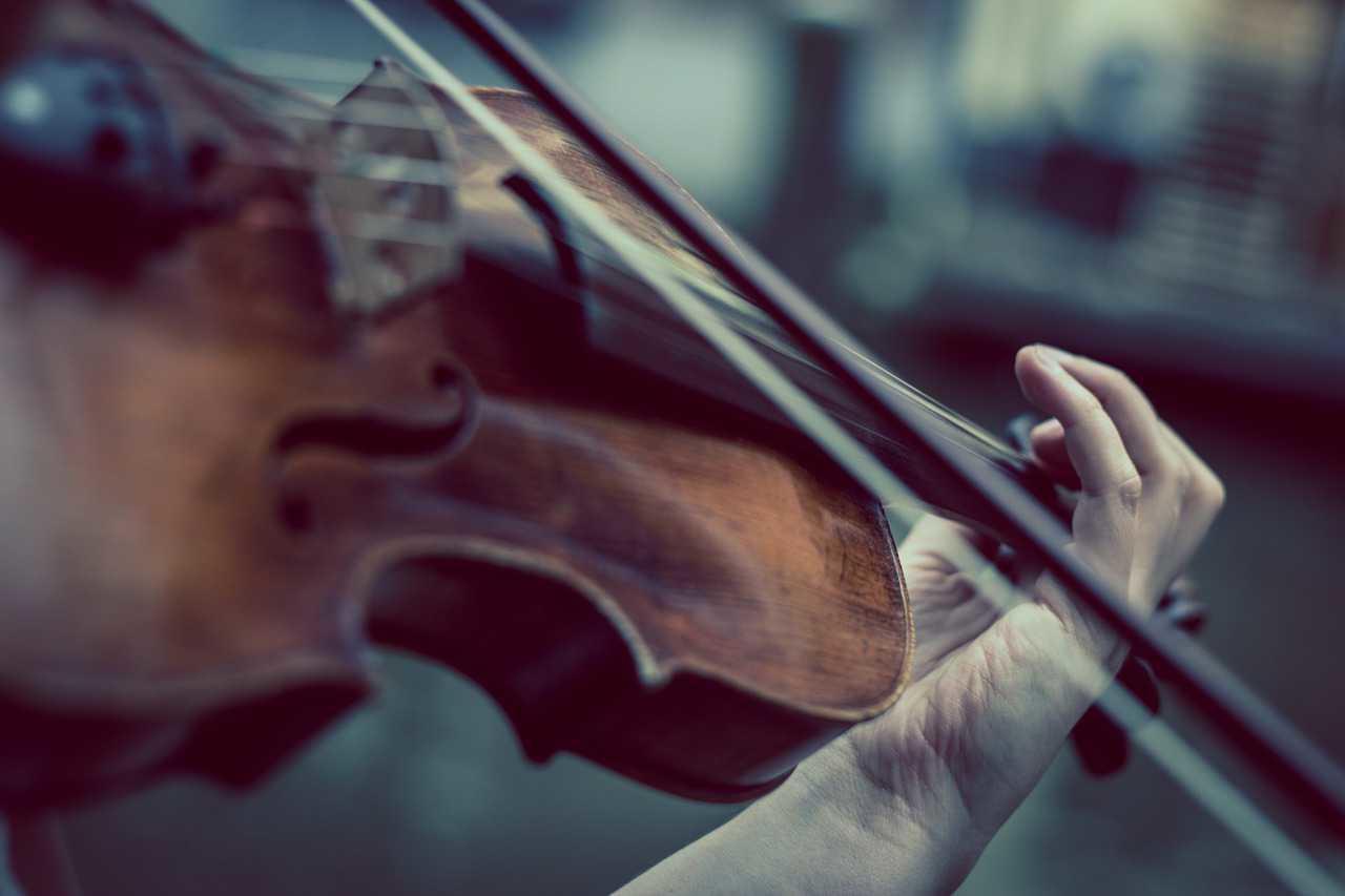 Il Violino: Storia dello Strumento a Corde Strumento!